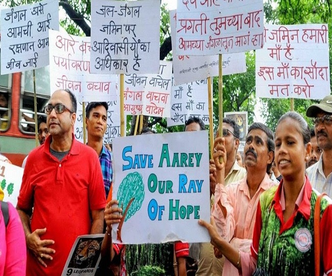 Aarey Protests: Activists knock CJI's door to stop axing of trees ...