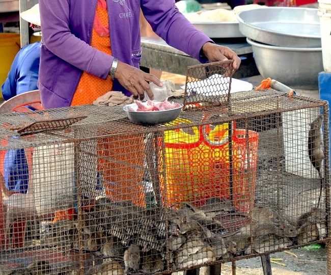 China’s ‘wet markets’, creators of coronavirus, are back in game with ...