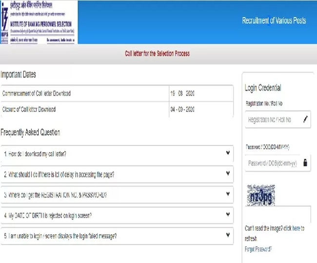 IBPS Admit Card 2020 for recruitment to various posts released ...