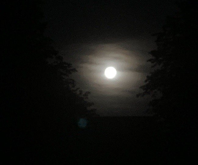 Penumbral Lunar Eclipse July 2020 Photos: Twitterati share some ...