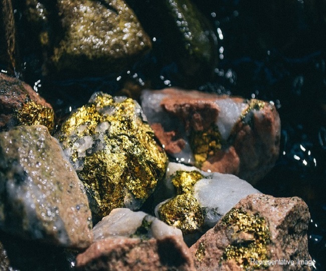 Bihar Has India's Largest Gold Reserves Says Survey; Govt Orders Further Exploration