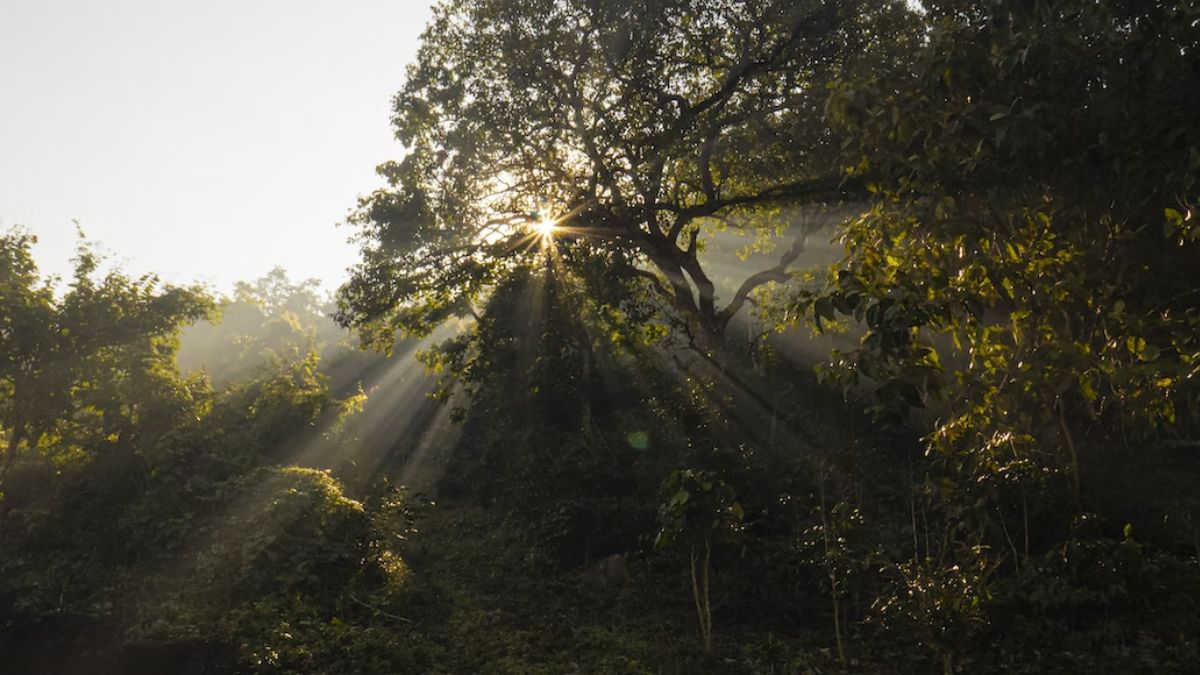 Travel Destinations: Bookmark These 5 Beautiful Places In India To ...