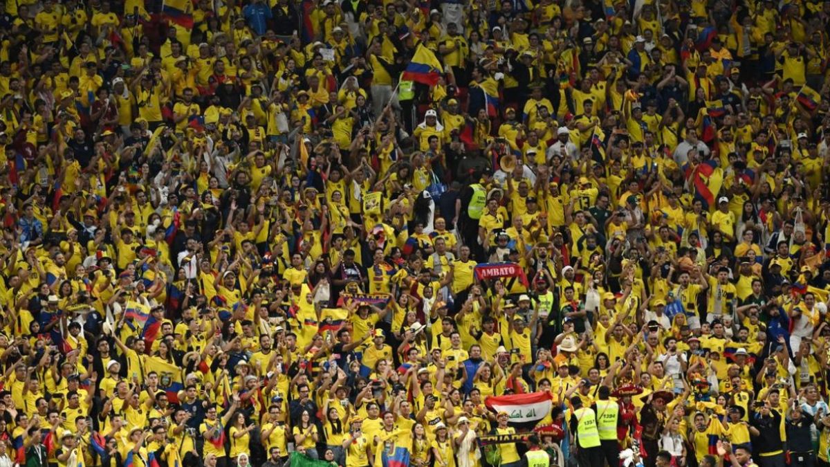 Camel Flu A New Risk For FIFA Fans In Qatar, Claims New Study