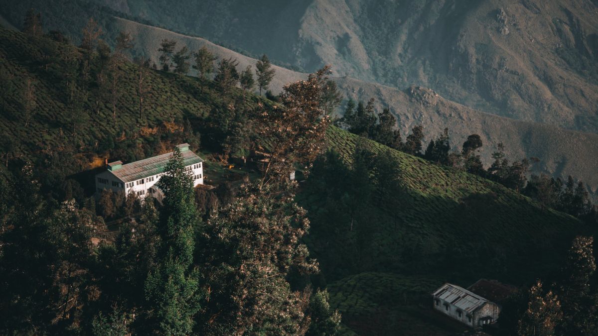 Kerala Piravi 2022: Munnar To Alleppey, 5 Must-Visit Tourist ...