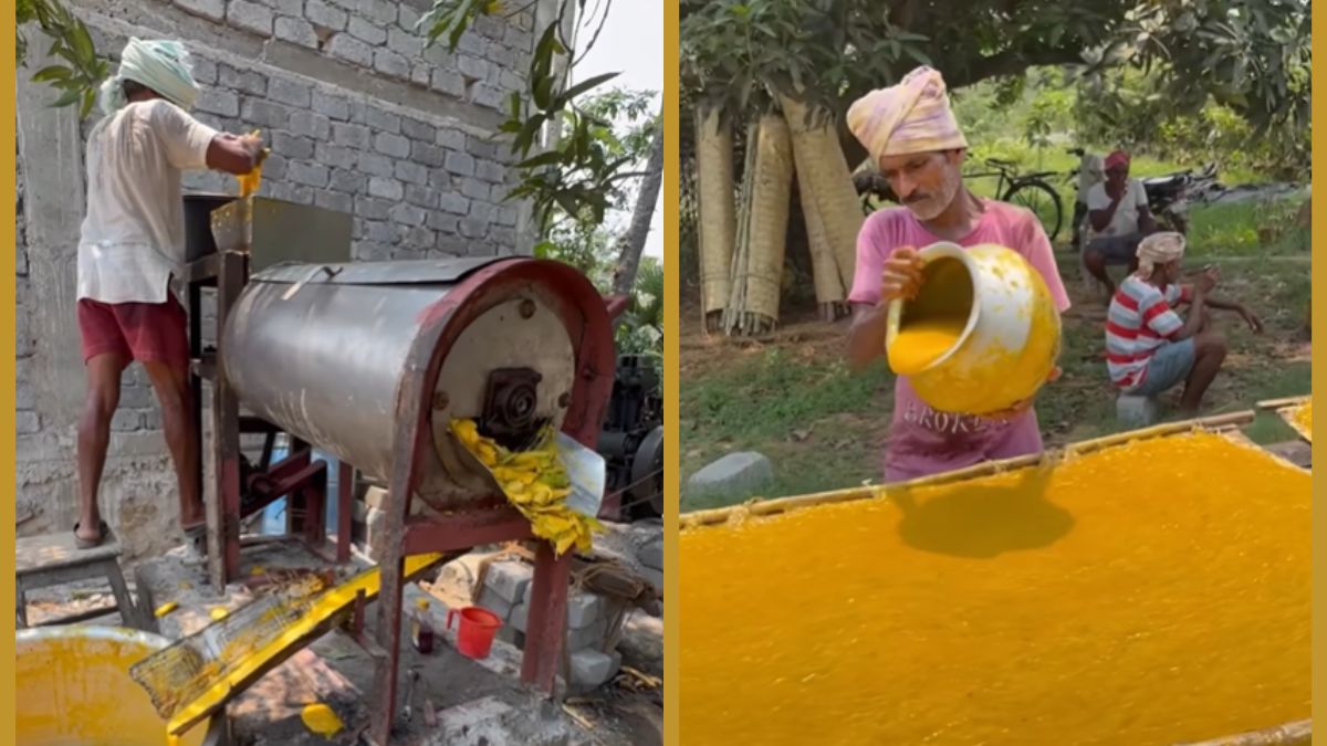 Fan Of Aam Papad? Viral Video Showing How Its Made Leaves Netizens ...