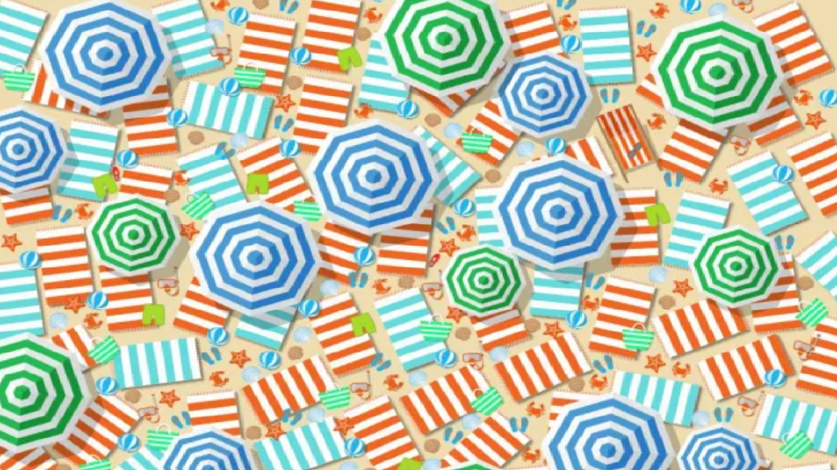 Optical Illusion: Can You Spot The Shoes In Picture Given Below In ...