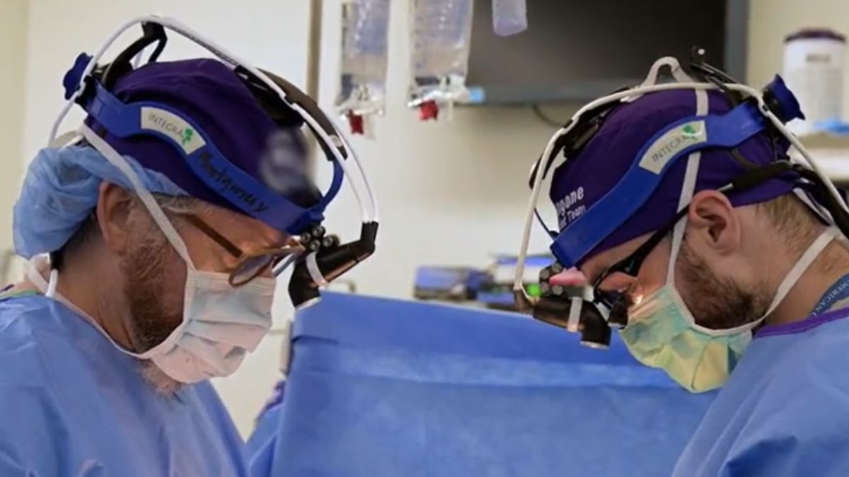 Medical Miracle: Gene-Edited Pig Kidney Successfully Transplanted Into ...