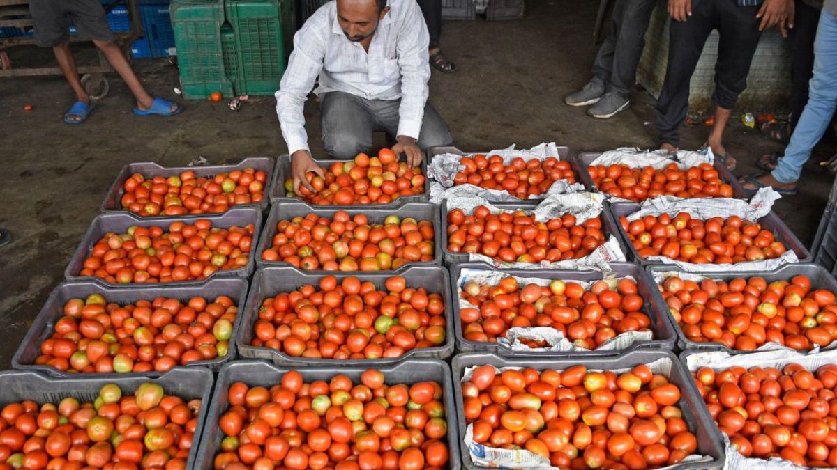 Subsidised Tomato In UP: Imported Tomatoes From Nepal In Transit; To Be ...