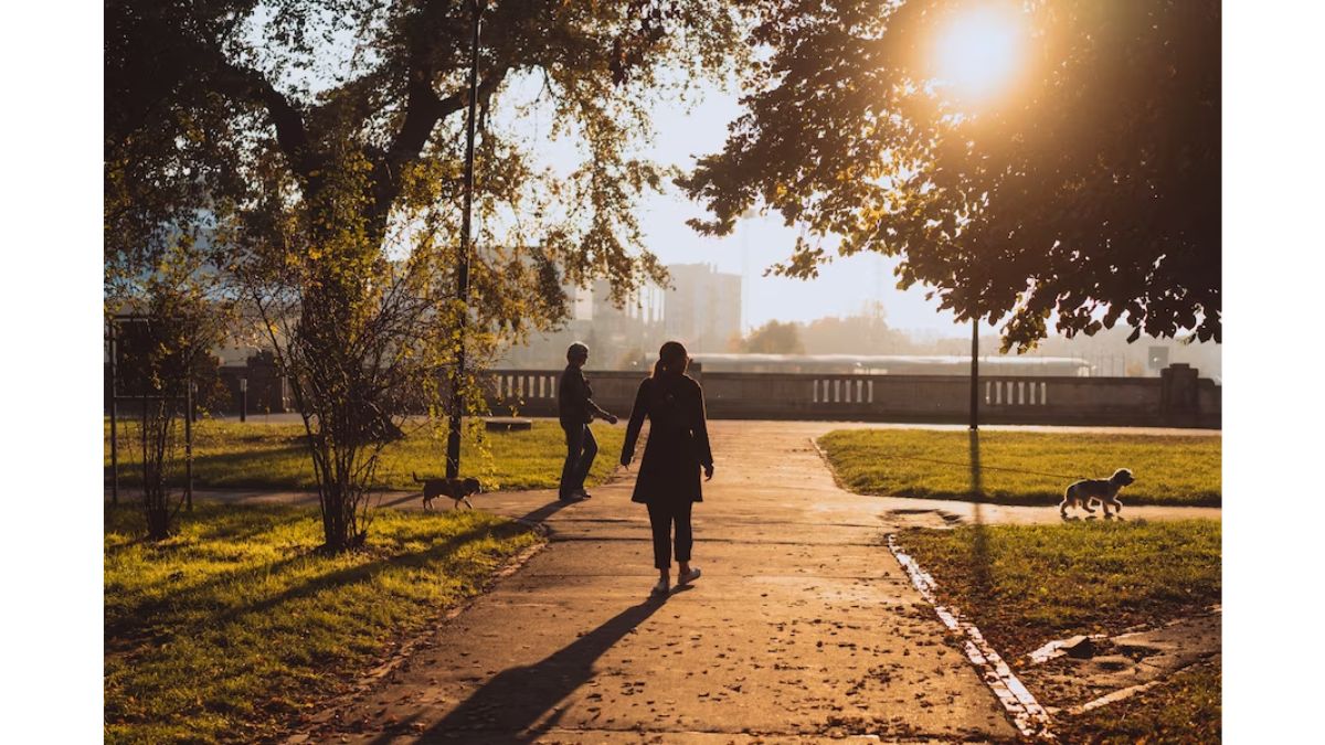 Benefits Of Morning Walk: 6 Surprising Benefits Of Taking A Morning Stroll