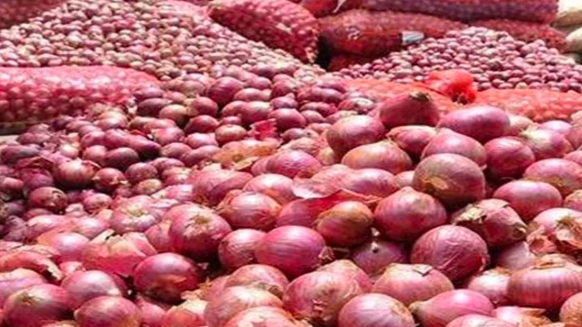 Price Rise: 40% Duty Imposed On Onion Exports Till December 31 To Improve Supply In Domestic Markets