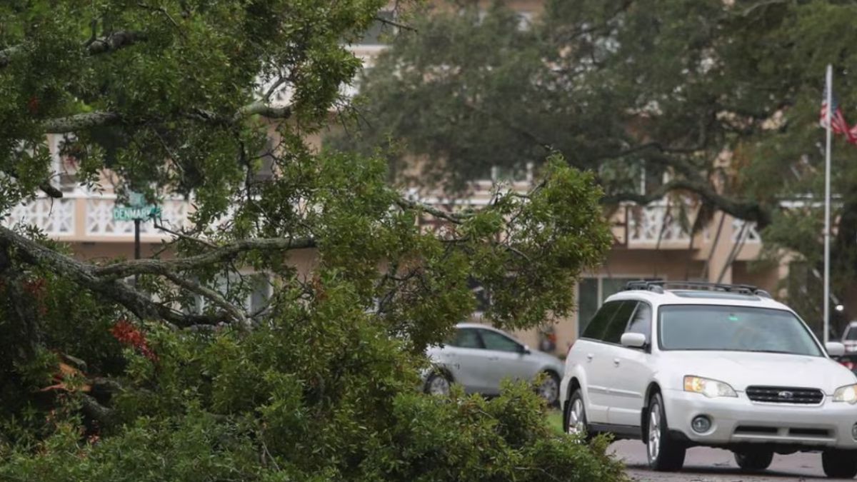 Hurricane Idalia Makes Landfall In Florida, Unleashes Rain Fury ...