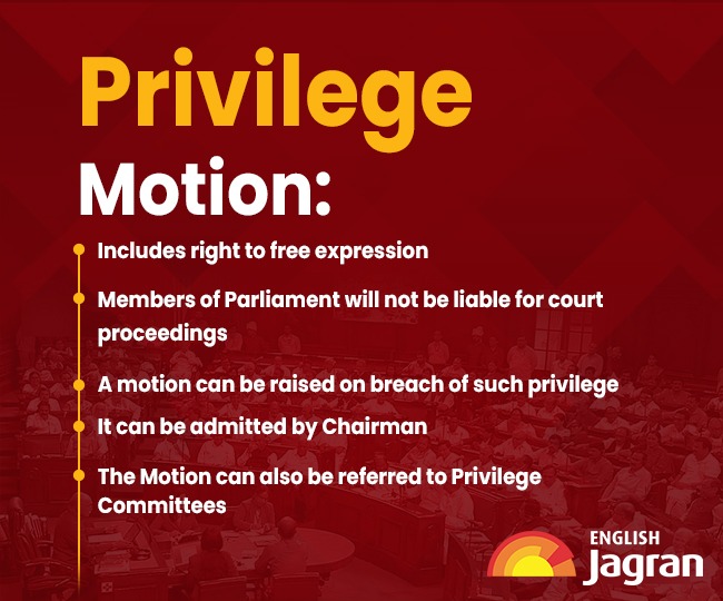 INDIA Moves Privilege Motion Against BJP's Piyush Goyal In Rajya Sabha ...