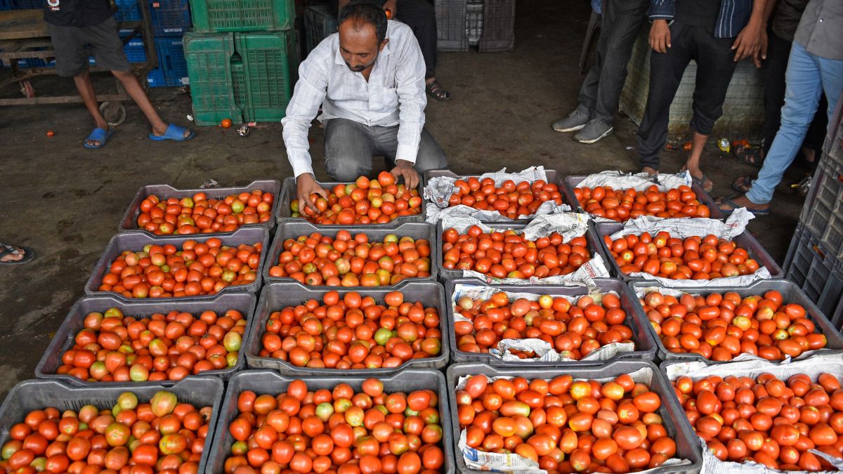 Tomato Prices Surge Again, Available At Rs 259 Per Kg In Delhi After Heavy Rains Disrupts Supply