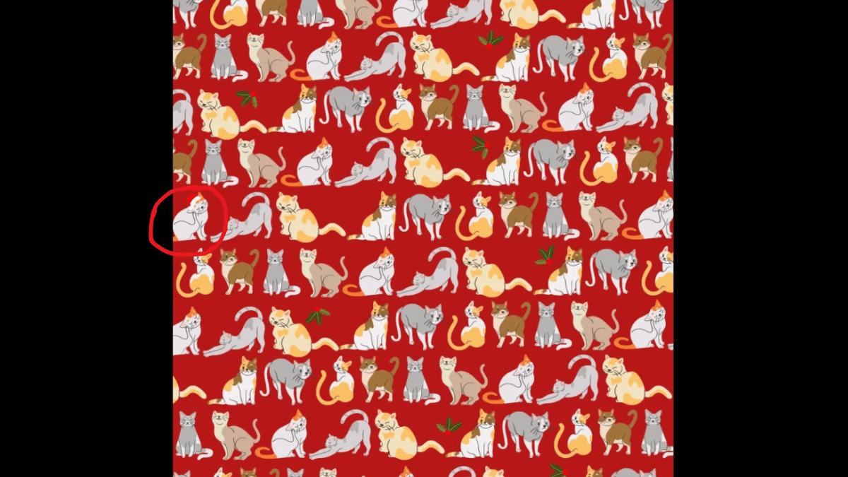 You Are Among The Rarest If You Can Spot The Santa Hat In Under 7 Seconds