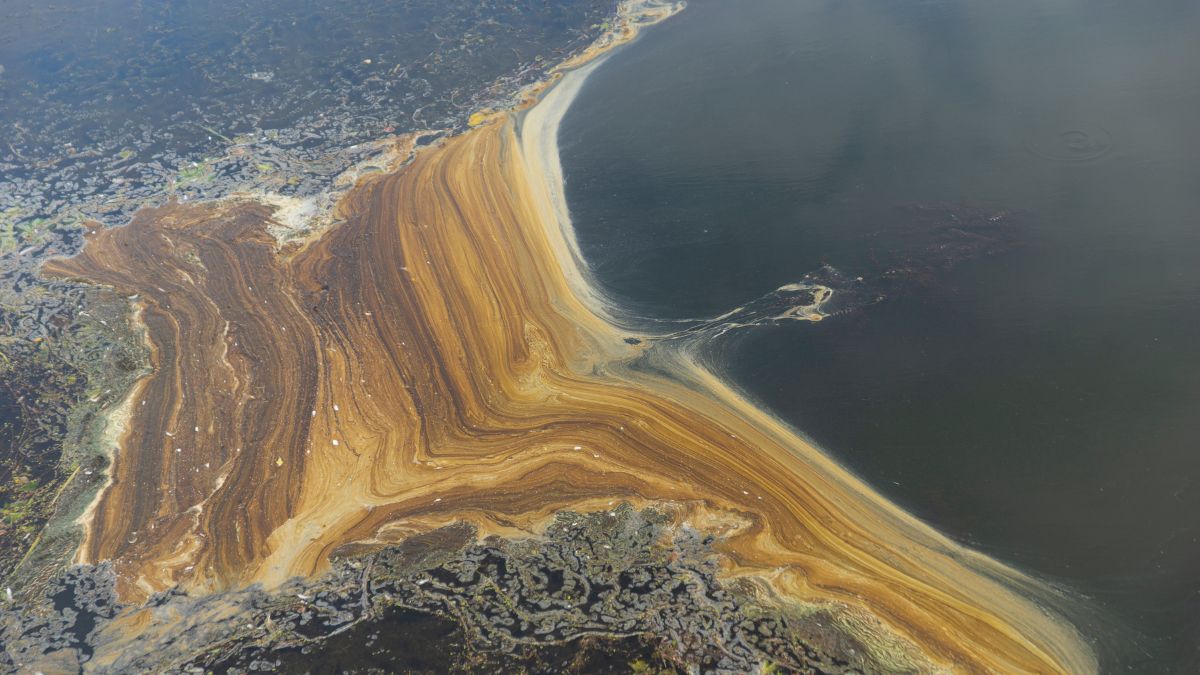 CPCL Denies Leakage At Refinery In Chennai As Oil Spill Hits ...