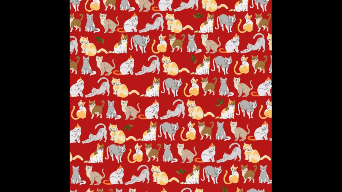 You Are Among The Rarest If You Can Spot The Santa Hat In Under 7 Seconds
