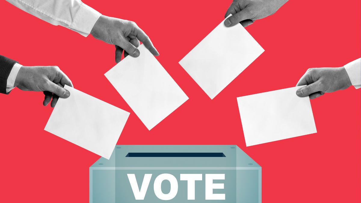 Declassified Report Reveals Russia, China Meddling In 2022 US Midterm ...