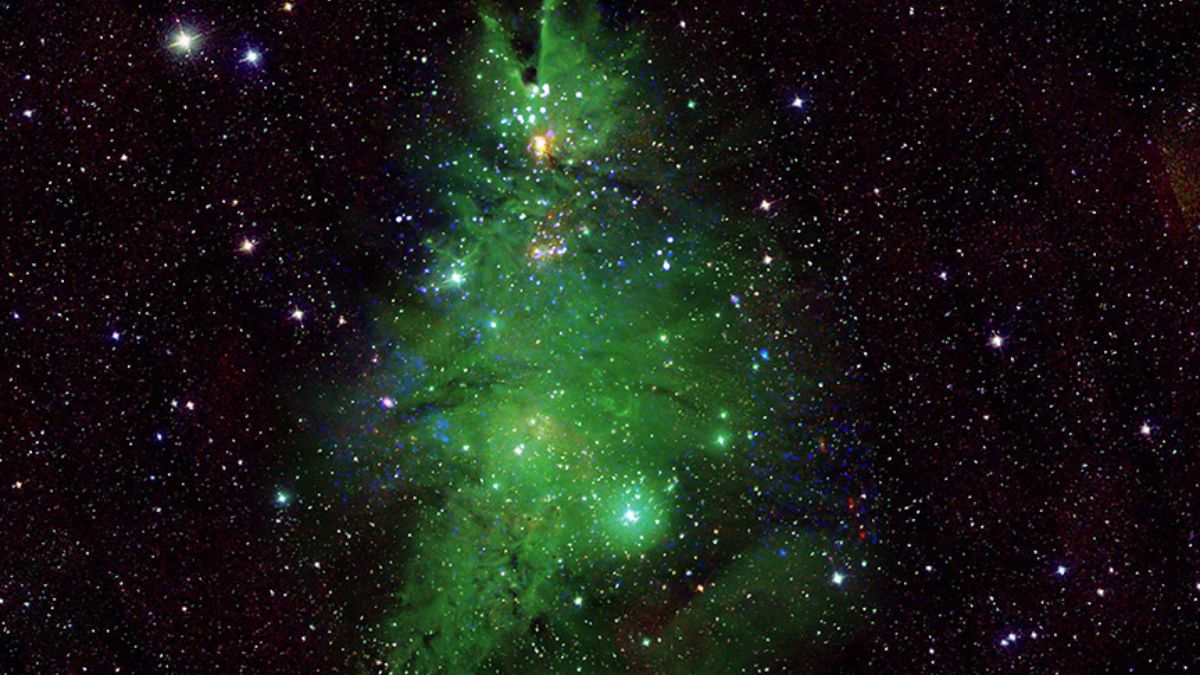 Cosmic Christmas Tree: NASA Shares Image Of 'Christmas Tree Cluster ...