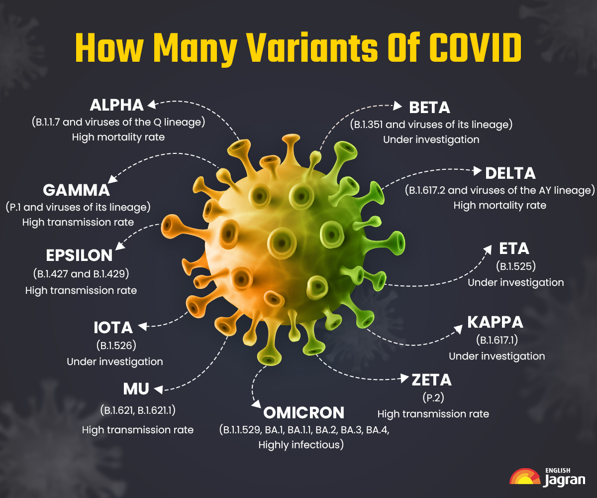 No Need To Panic About New Covid Variant Jn.1, But Stay Alert; Know ...