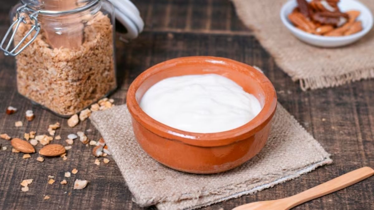 Is Consuming Curd Everyday In Winters Safe For Health? Here’s What ...