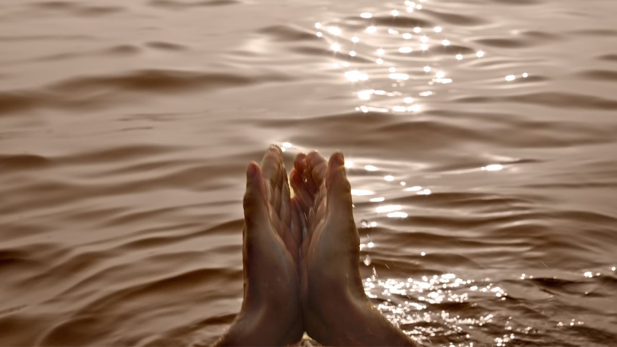 Margashirsha Amavasya 2023: Date, Significance And Rituals To Follow On ...