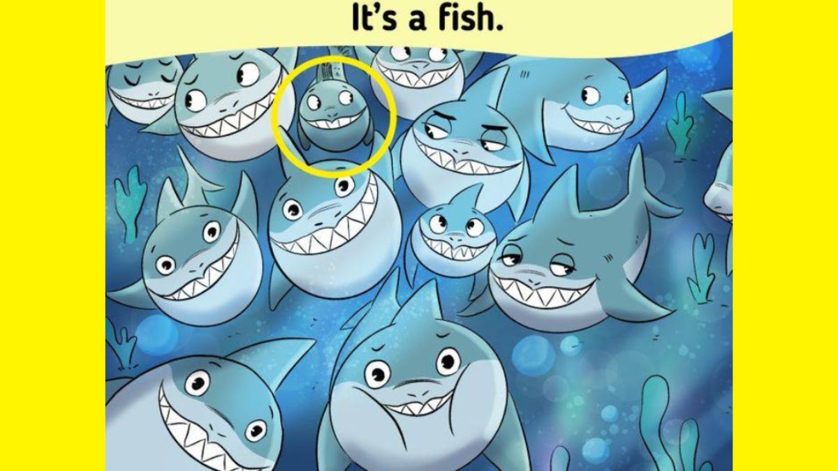 Optical Illusion: 99% Fail To Spot Hidden Fish Among Sharks In This Pic ...