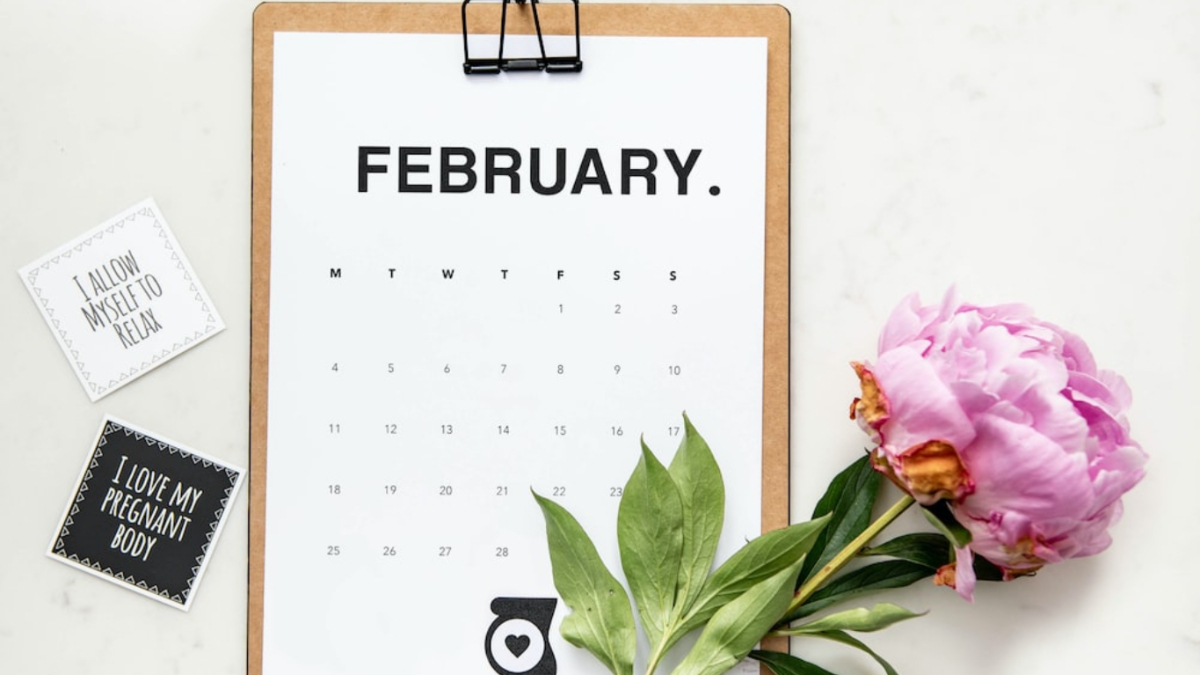 February Calendar 2023: Complete List Of Festivals, National And ...