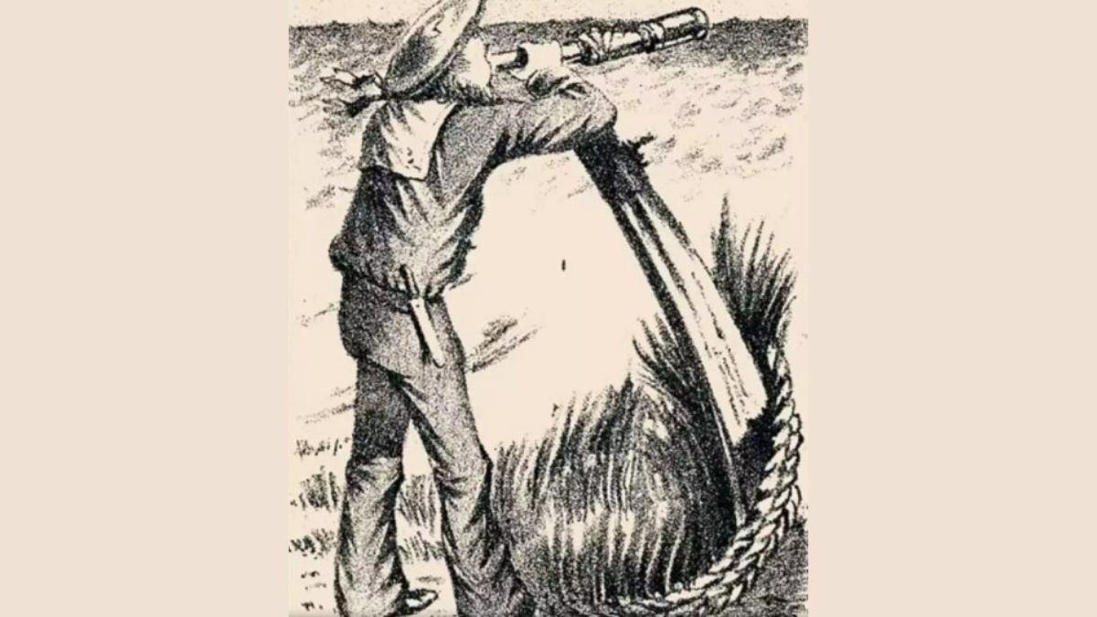 Optical Illusion: Only Those With Laser-Sharp Focus Can Spot The Sailor ...