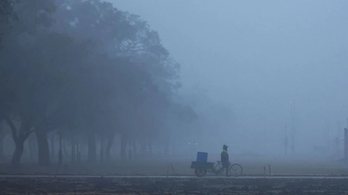 Northwest India May Get Respite From Cold Wave After Two Days, Says IMD ...