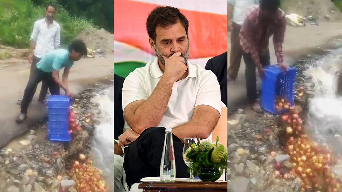 'Rahul Gandhi Sheds Tears For Farmers...': BJP Shares Video Of Apple ...