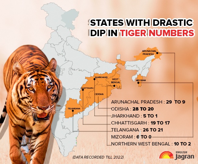 Tigers In India: With 24% Surge, Tiger Population Touches Milestone Of ...