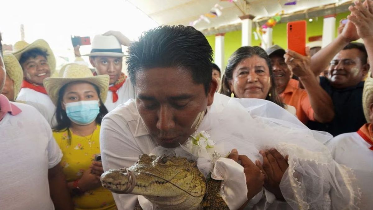 Mexican Mayor Ties The Knot With Crocodile In Unique Traditional ...