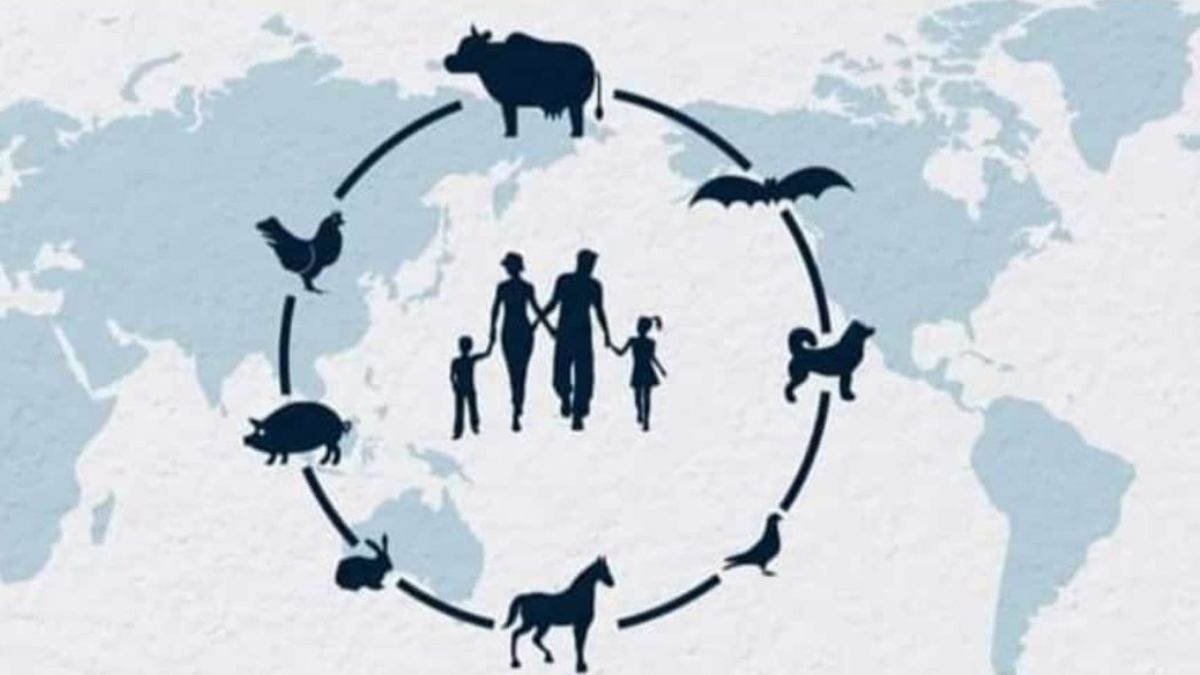 World Zoonoses Day 2023: Date, History, Significance And Other Important Details