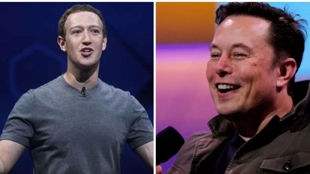 Elon Musk vs Mark Zuckerberg: Tesla CEO Wants To Fight Meta Founder In ...