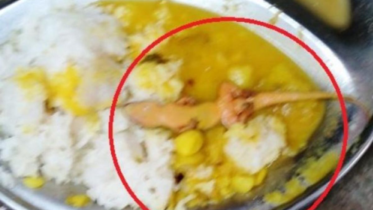 Uttar Pradesh: Five Children Fall Ill After Consuming Food Boiled With ...