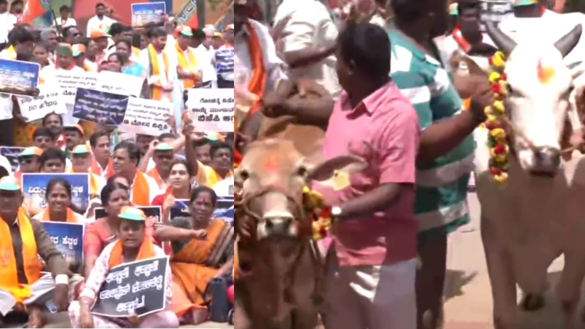 BJP Protests Against Karnataka Govt's Plan To Scrap Cow Slaughter Ban ...