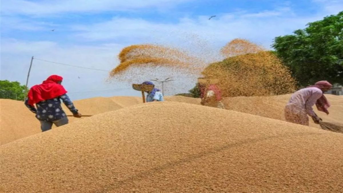 What is Minimum Support Price? Who Sets It And How MSP Is Determined ...