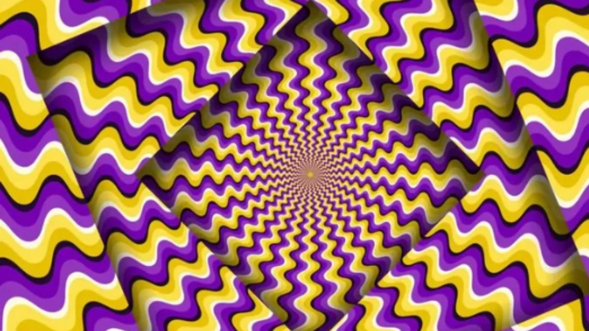 Optical Illusion: Think You Have Sharp Eyes? Can You Halt The Movement ...