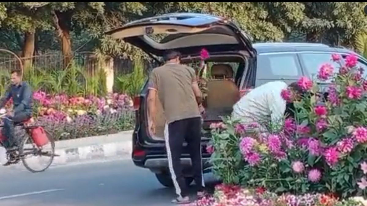 Gurugram Man Arrested After His Video Stealing Flowers Pots Arranged ... Gurugram Man Arrested After His Video Stealing Flowers Pots Arranged ...