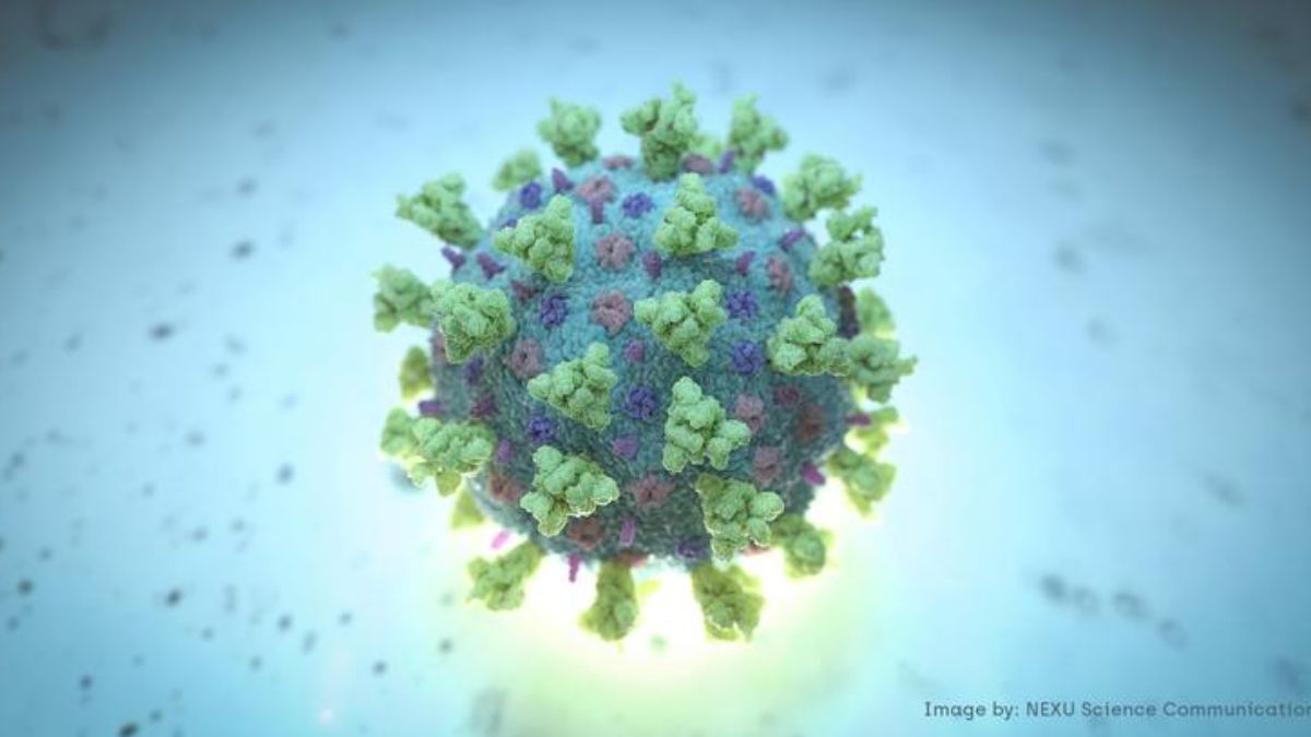 Seasonal Influenza Cases To Decline By March End H3n2 Strictly Monitored Centre