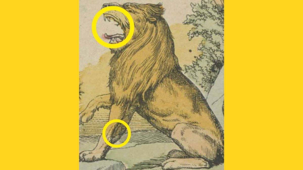 Optical Illusion: Can You Spot Two Rats Hiding From Lion In This Jungle ...