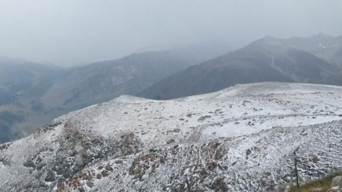 Weather Update: Kashmir Shivers As Cold Wave, Dense Fog Sweep Region ...