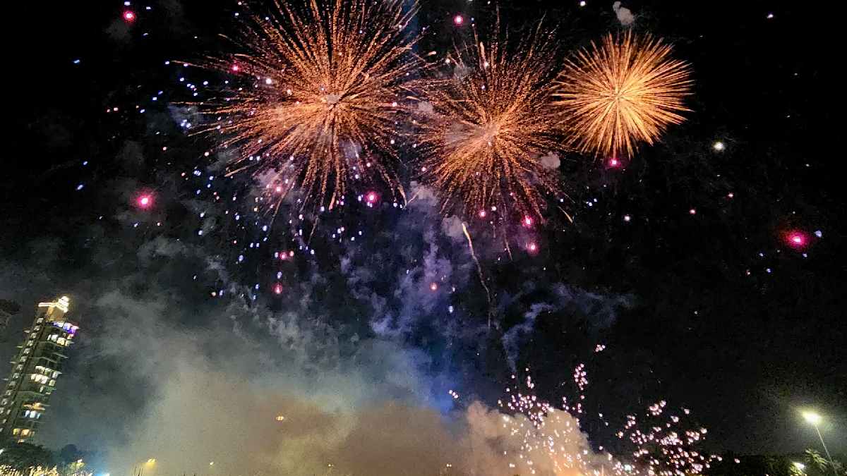 Diwali 2023: Mumbai Authorities Recieve Over 40 Calls About Injured ...