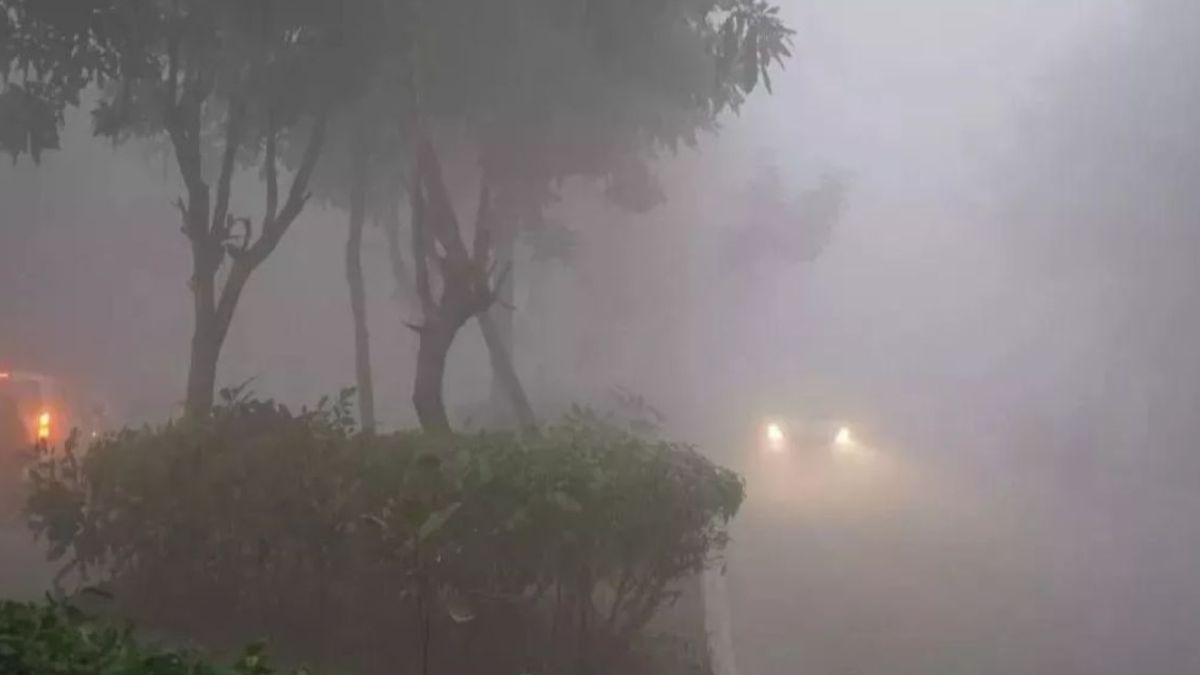 Bihar Weather: Temperature Drops In 26 Cities Including Patna; Check ...