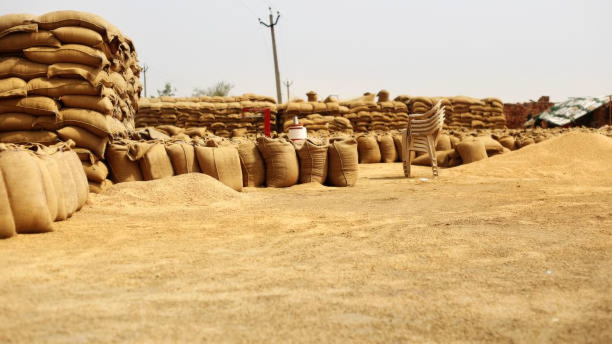 Wheat MSP Increased By Rs 150 Per Quintal In Biggest Hike In Last 9 ...