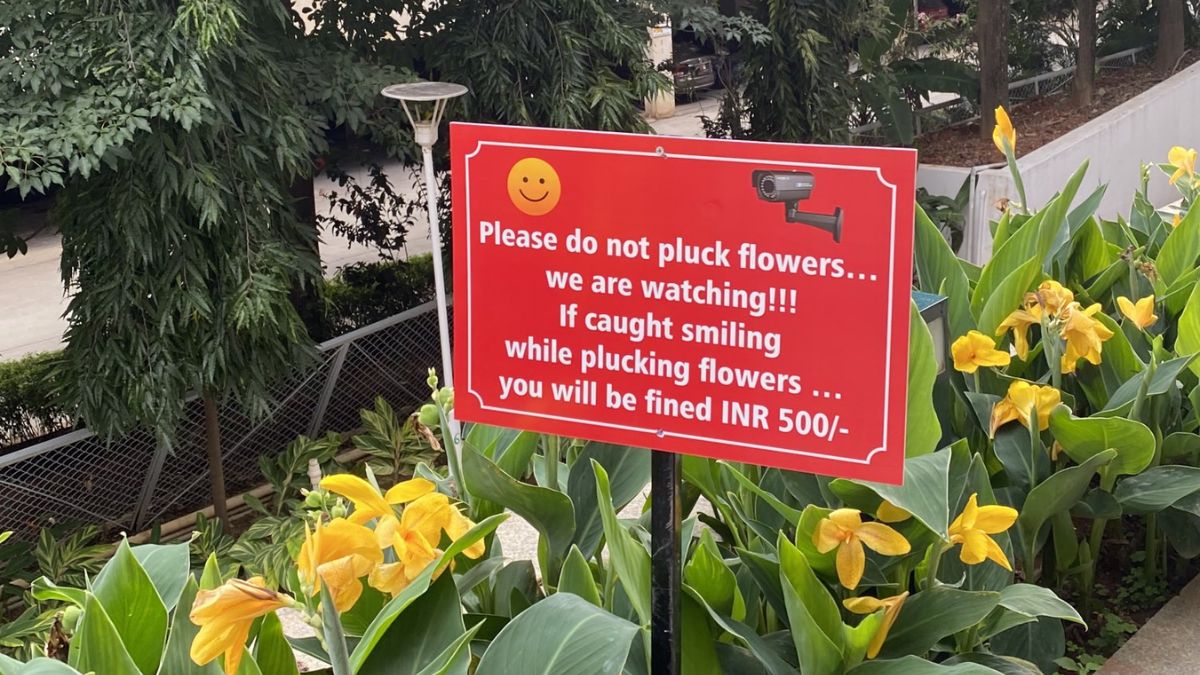 ‘If Caught Smiling…’: Unusual Sign In Bengaluru Warns Against Plucking ...
