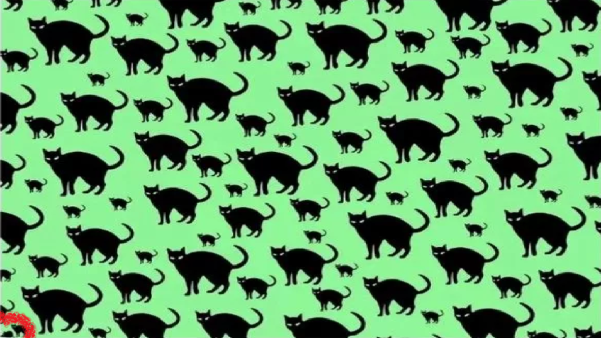 Optical Illusion: Can You Spot The Mouse In The Picture Full Of Cats?