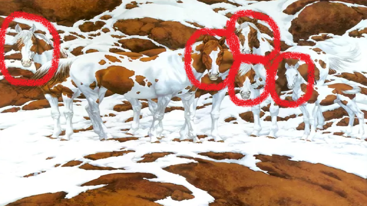 Optical Illusion: Can You Tell The Total Number Of Horses In The ...
