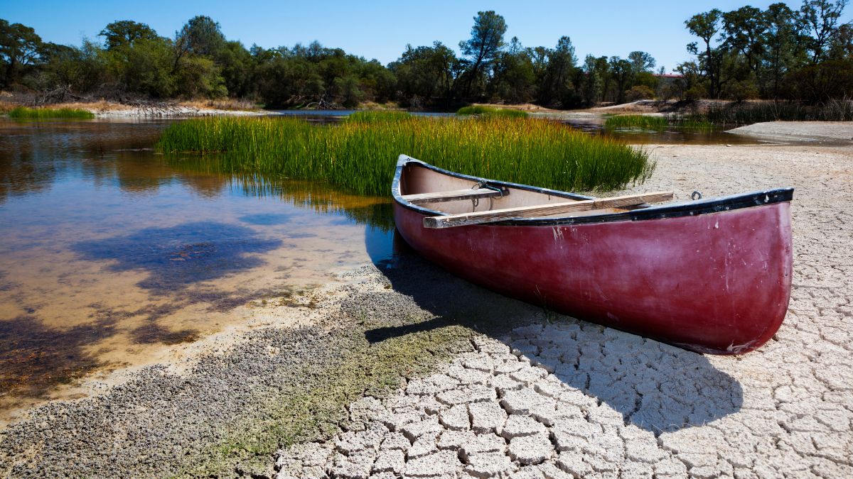 Karnataka Govt To Declare 195 Taluks As Drought-Hit, Plans To Increase ...