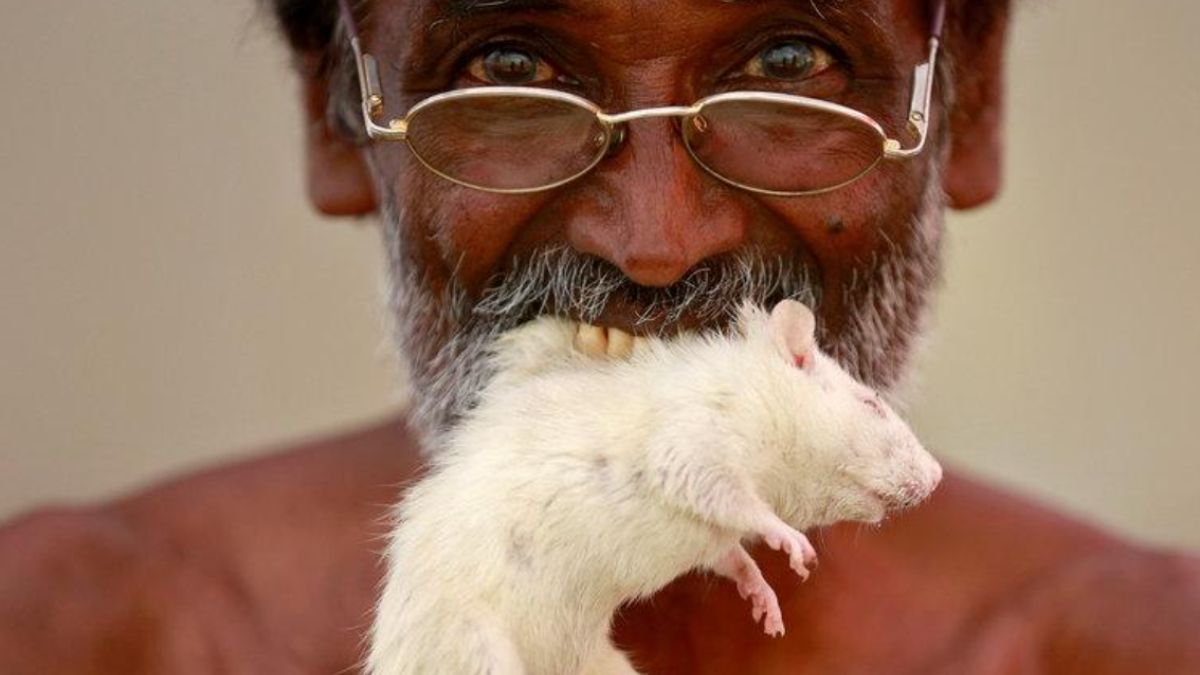 Cauvery Water Issue: Tamil Nadu Farmers Protest Holding Rats In Mouth ...